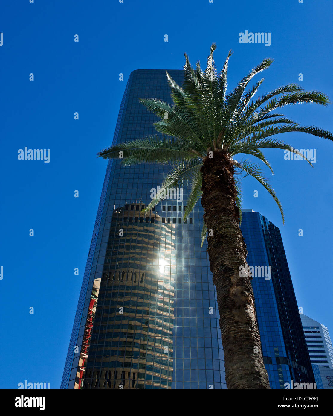 A high rise building in Brisbane in Queensland Brisbane Stock Photo - Alamy