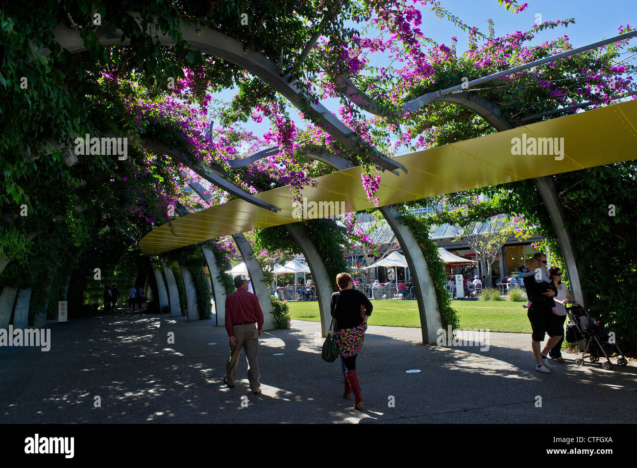 South bank parkland brisbane hi-res stock photography and images - Alamy