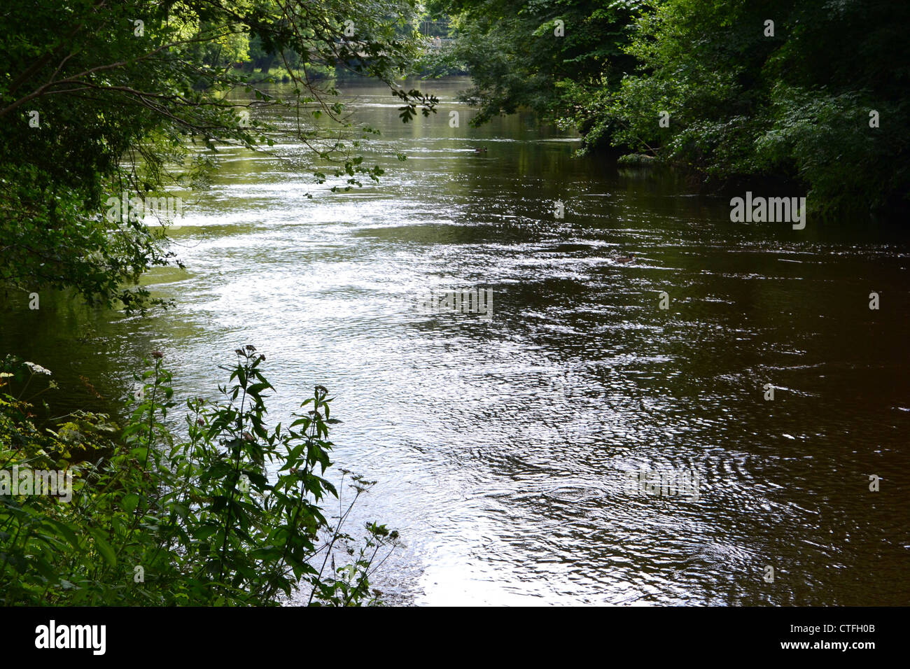 Digital water flow hi-res stock photography and images - Alamy