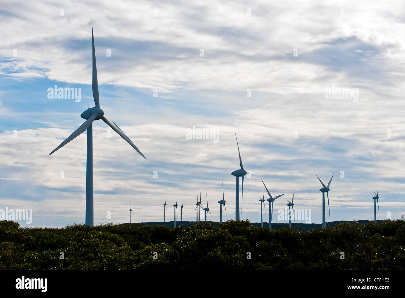 Wind farm albany hi-res stock photography and images - Alamy