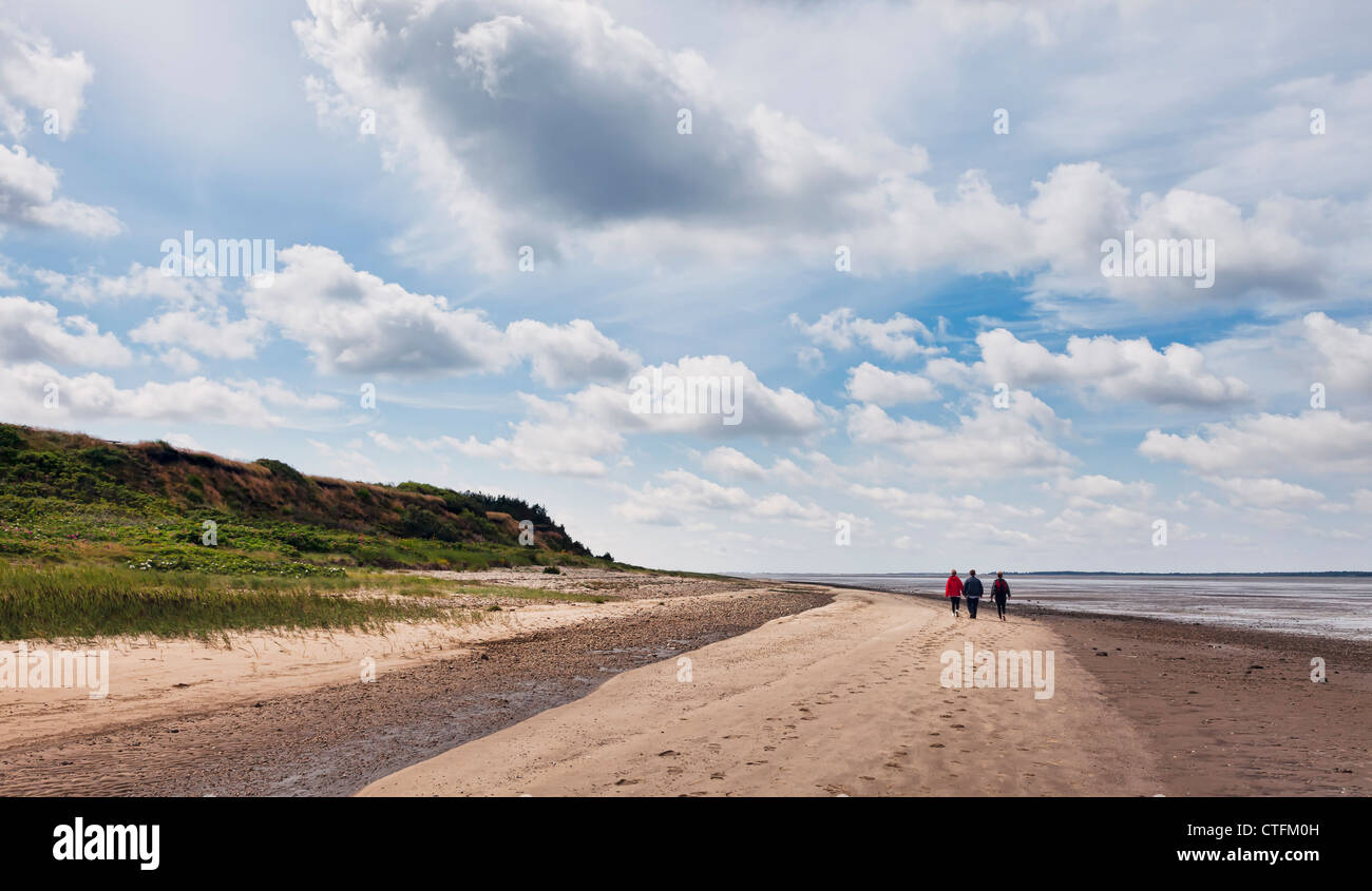 Danish wadden sea national park hi-res stock photography and images - Alamy