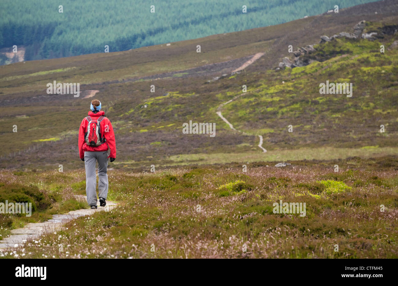 A hiker walking the trail over Simonside Hills near Rothbury on an ...