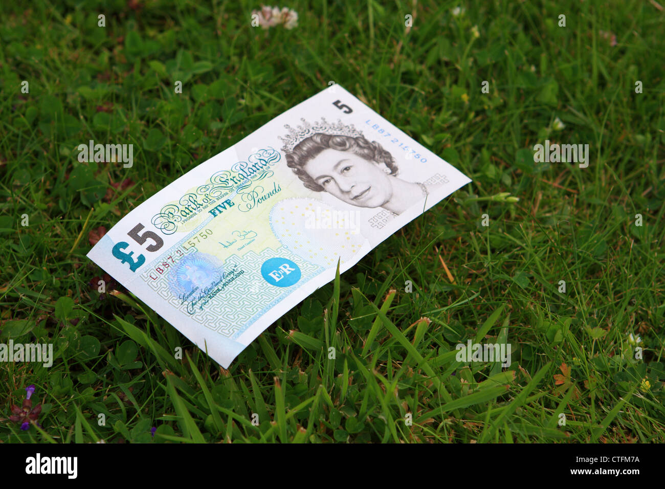 sterling £5 note lying on grass Stock Photo - Alamy