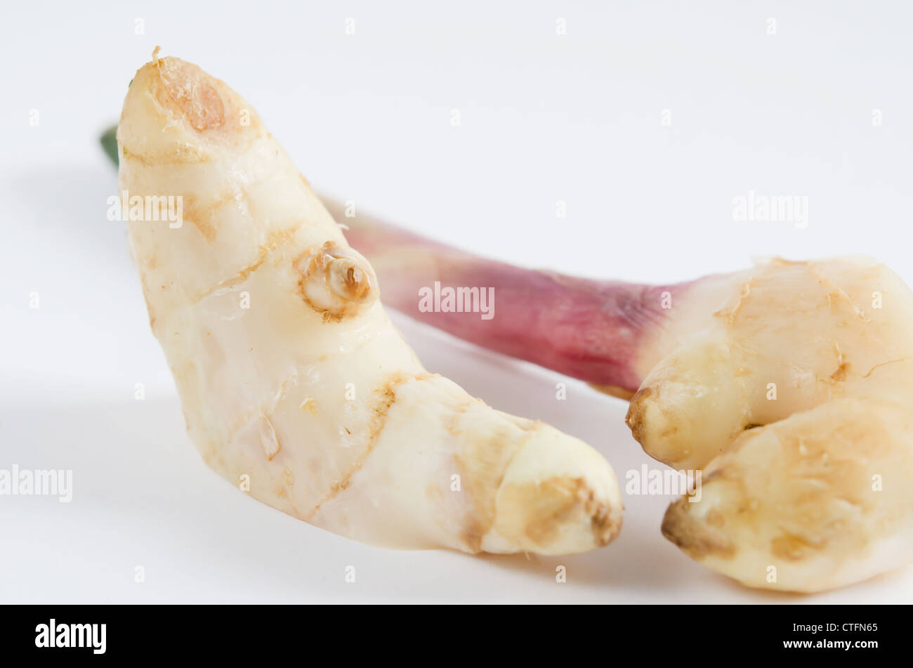 Root culture hi-res stock photography and images - Alamy