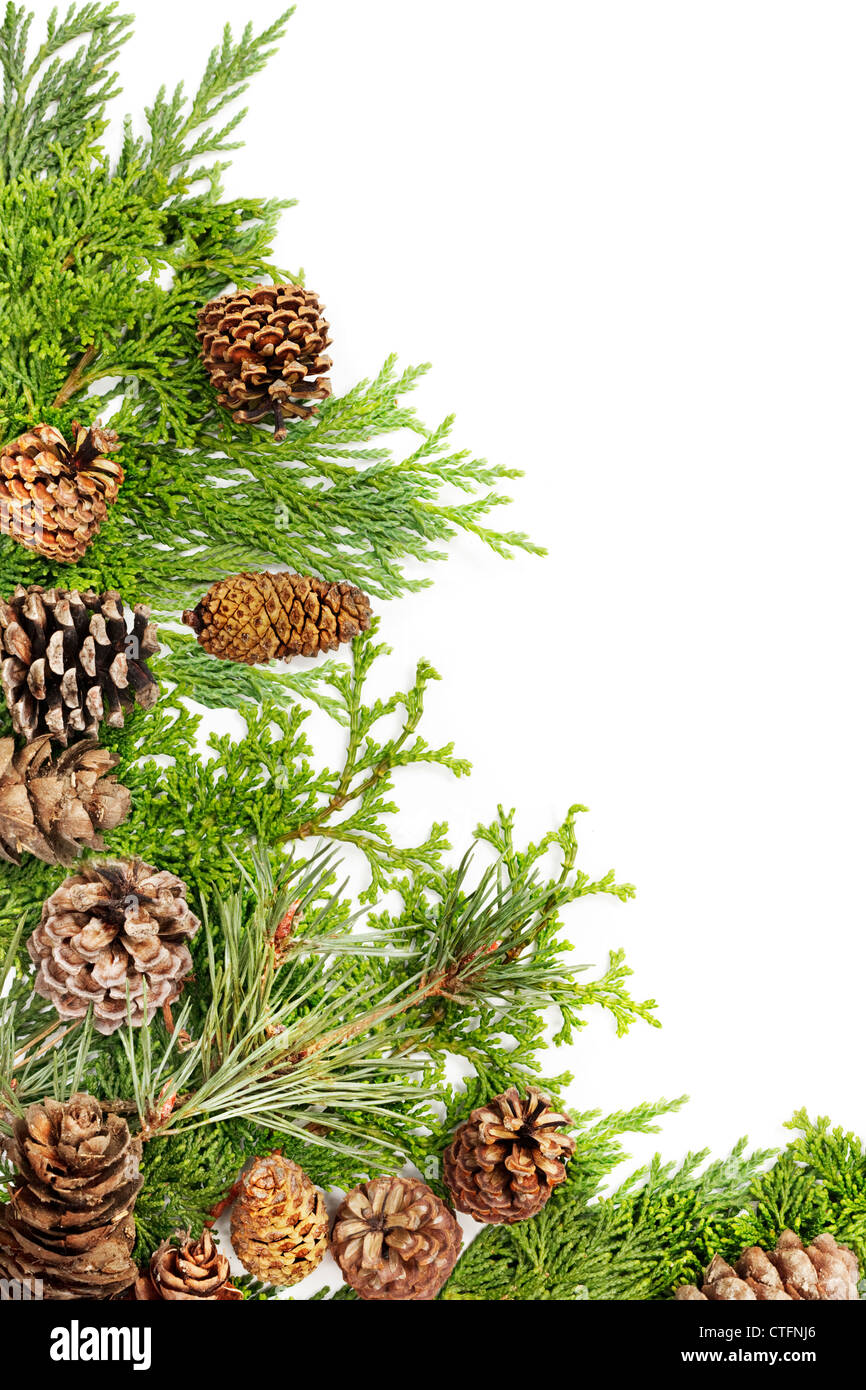 Cypress Border High Resolution Stock Photography and Images - Alamy