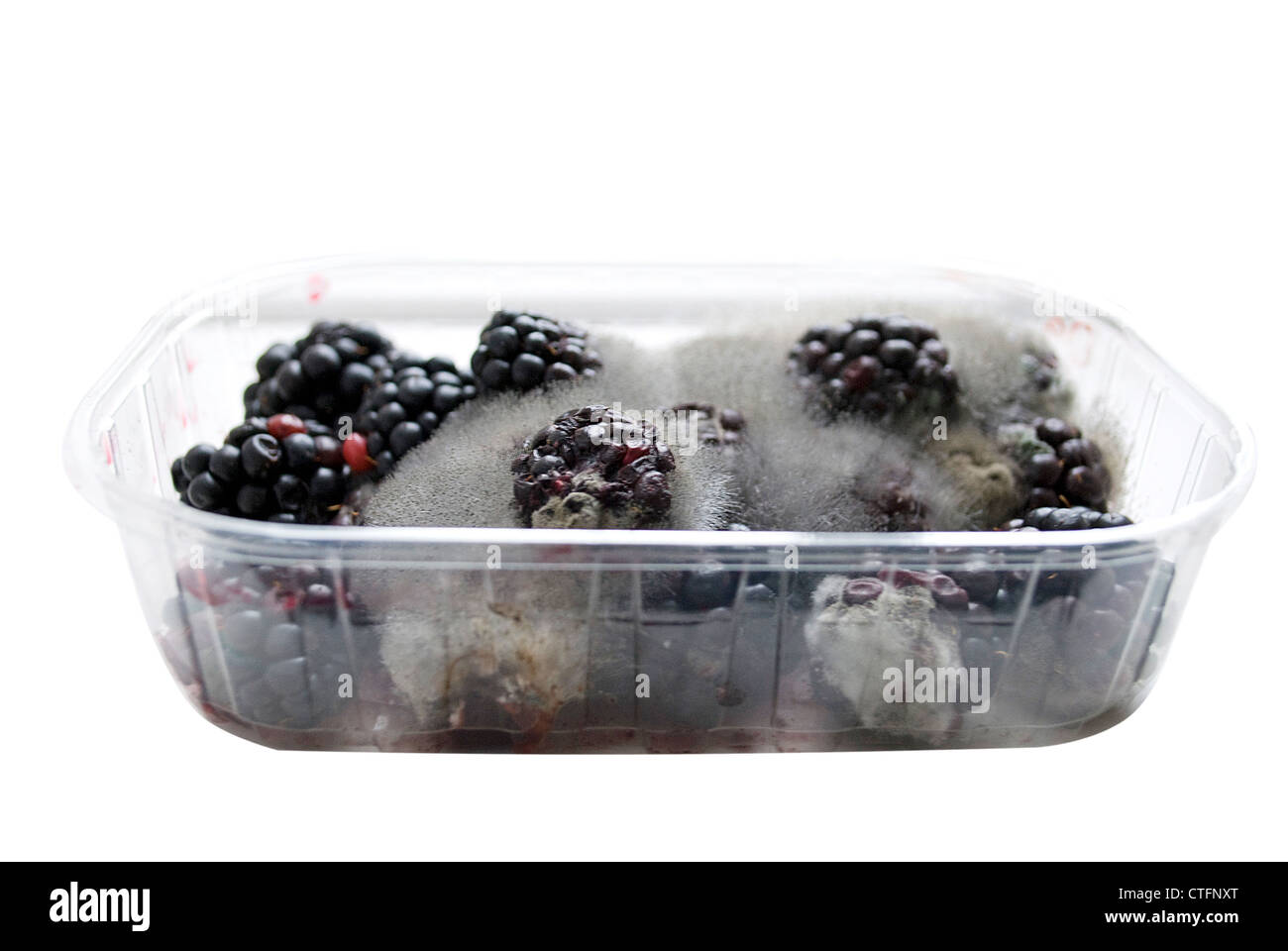 Rotten berry hi-res stock photography and images - Alamy