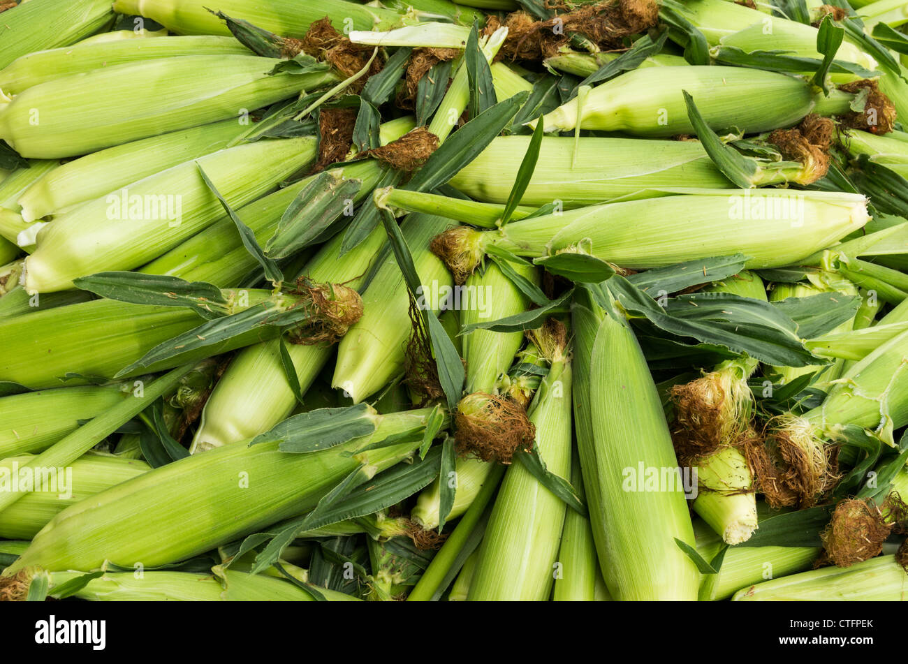 Corn vegetable food display hi-res stock photography and images - Alamy