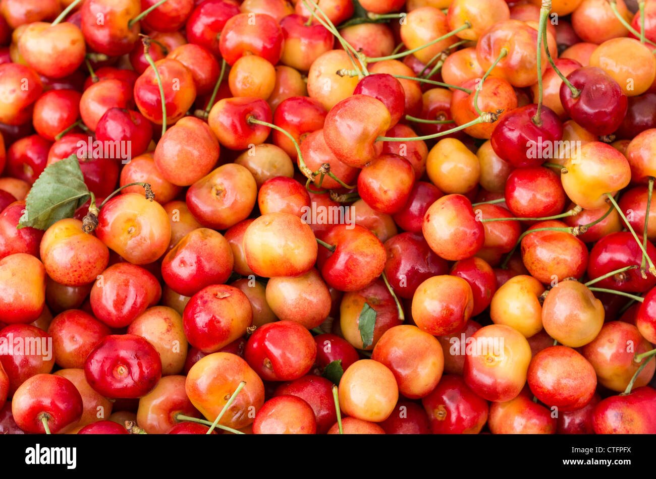 Queen anne cherry hi-res stock photography and images - Alamy