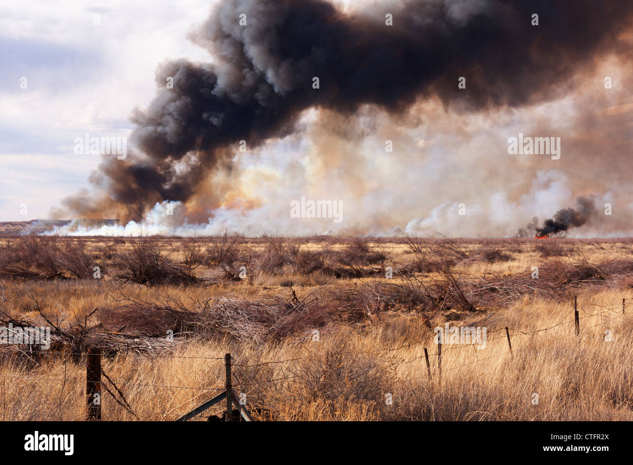 Wildfire burning in rural New Mexico, USA Stock Photo - Alamy