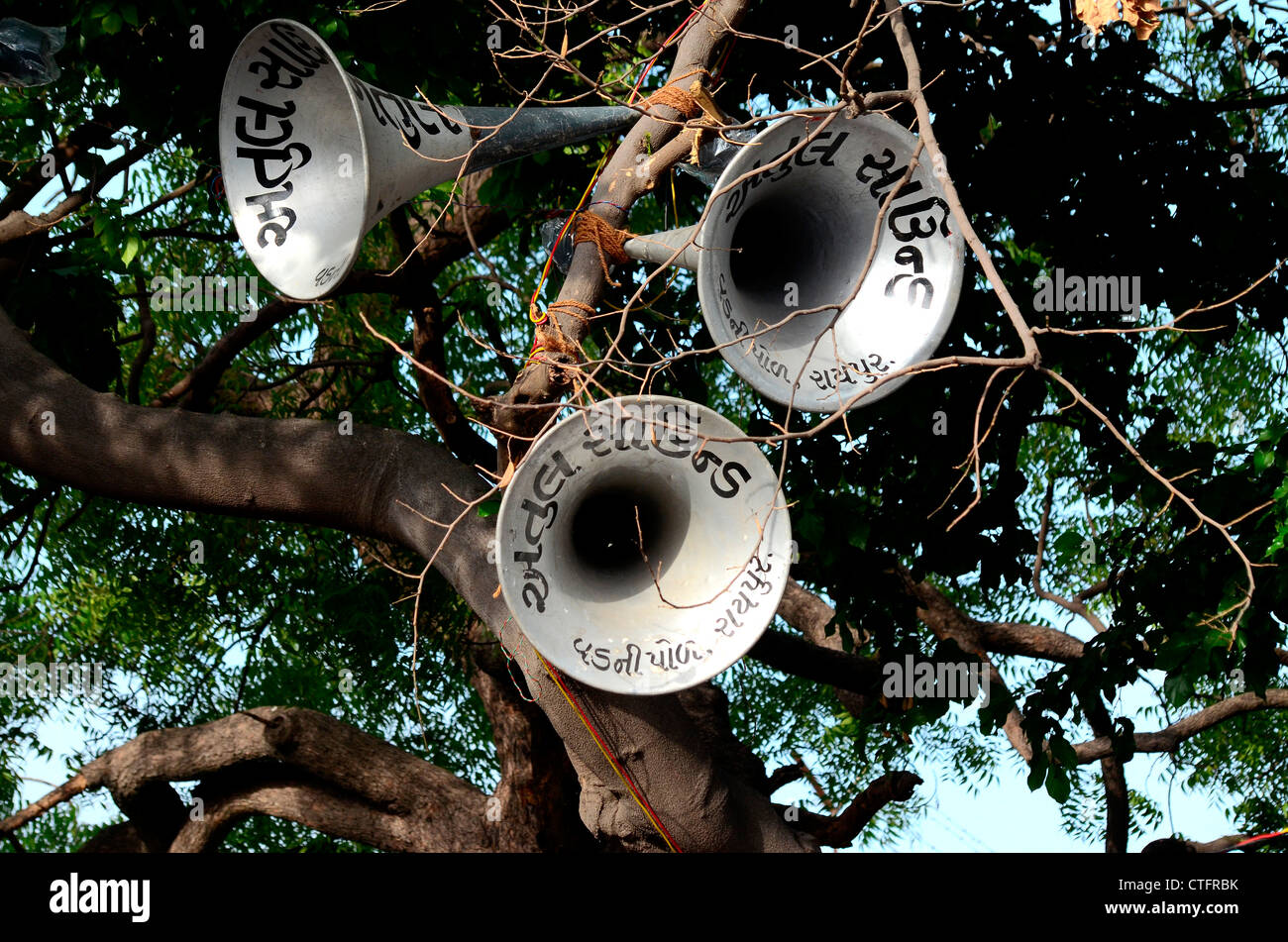 Loudspeakers mounted on a tree Stock Photo - Alamy