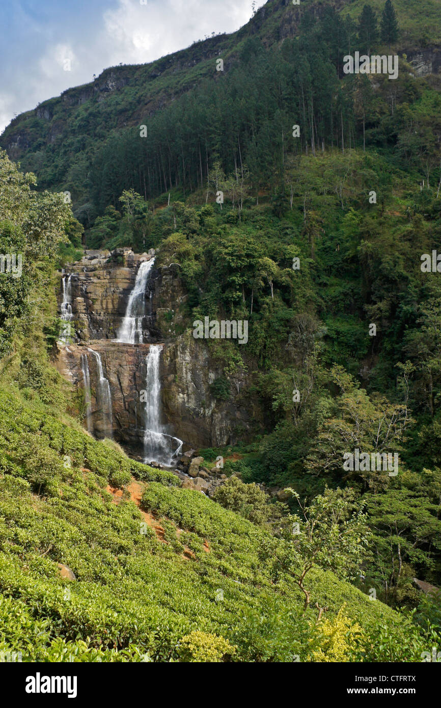 Ramboda Falls and tea plantation, Hill Country of Sri Lanka Stock Photo ...