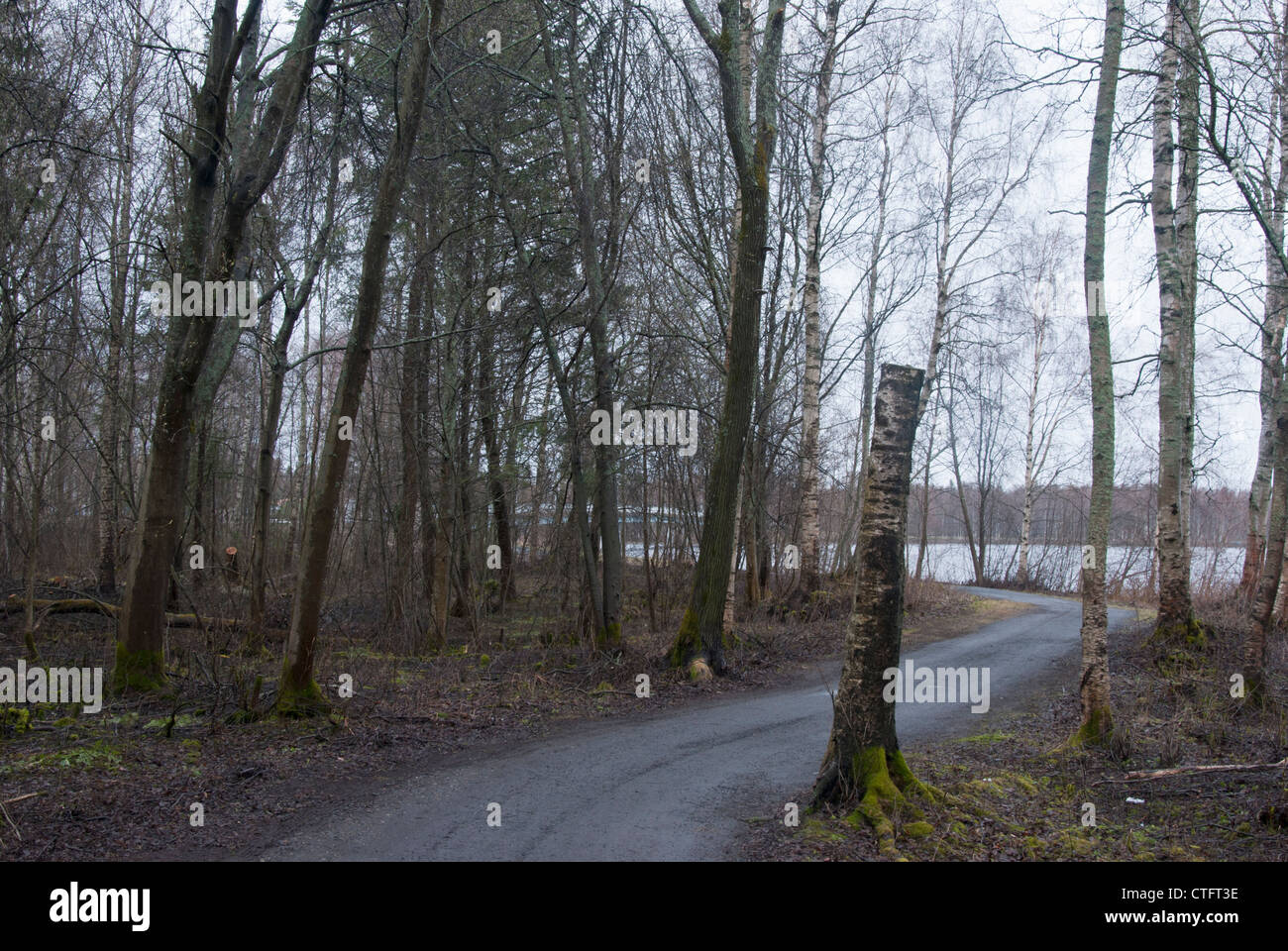 Gravel path in drizzling Pikisaari In Oulu Finland Stock Photo - Alamy