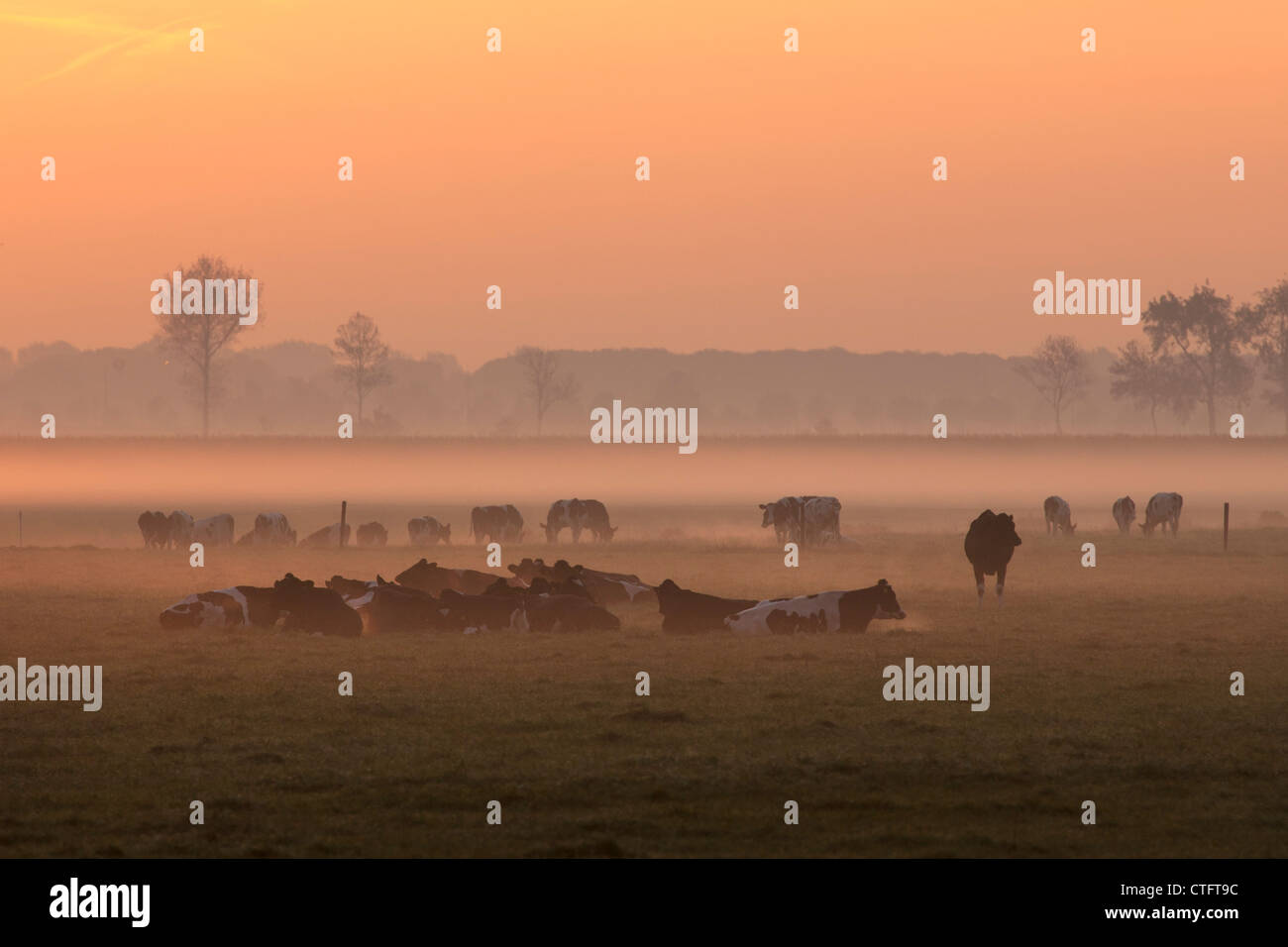 The Netherlands, Noord Beemster, Beemster Polder, UNESCO World Heritage ...