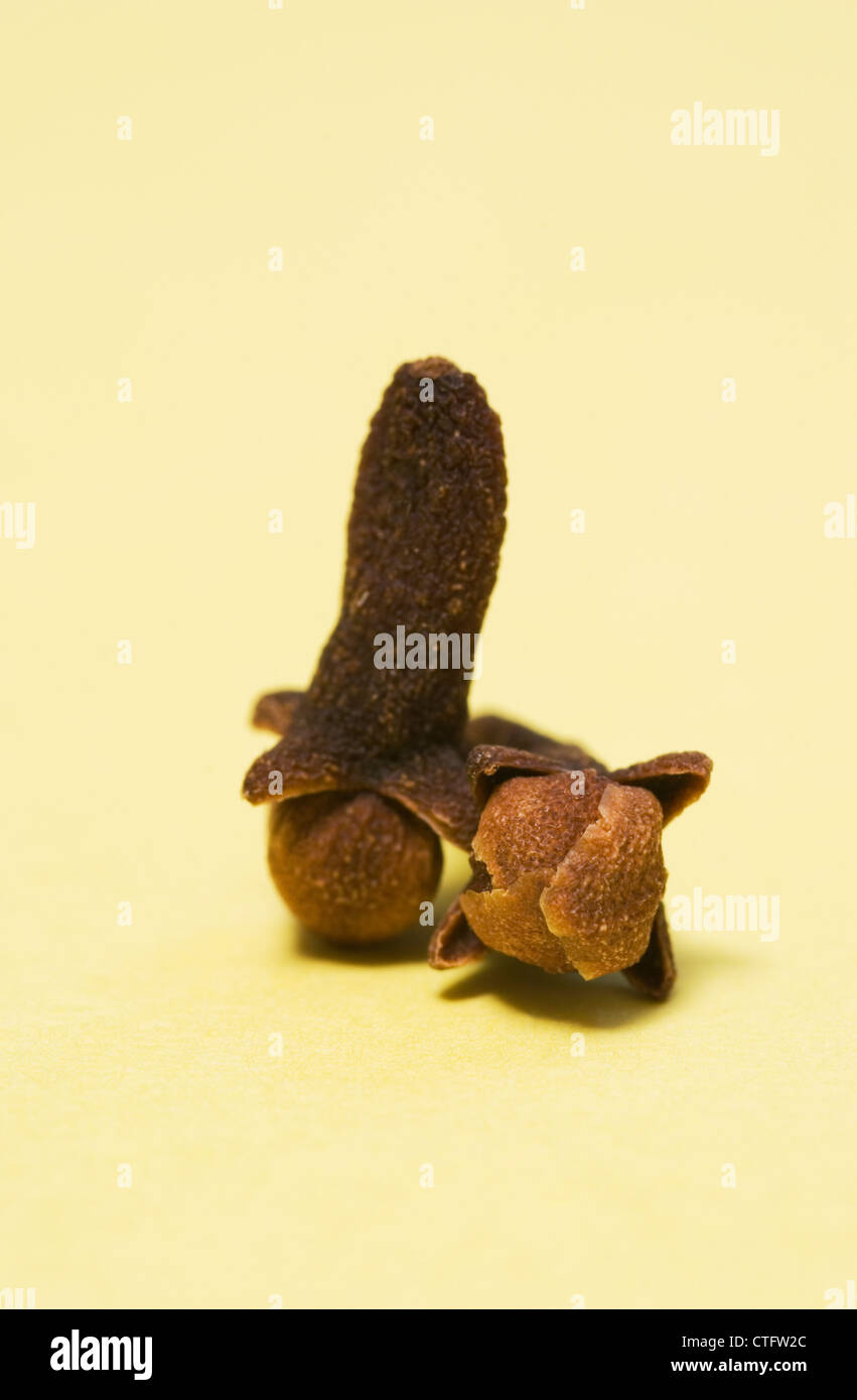 Syzygium aromaticum, cloves Stock Photo - Alamy