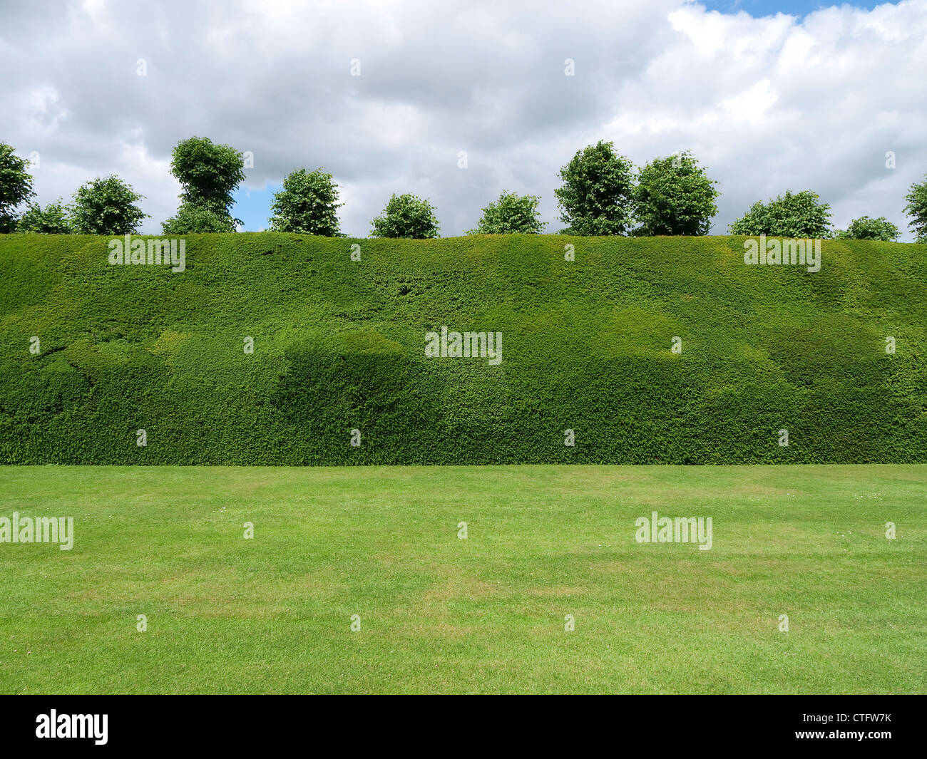 Clipped Garden Hedge High Resolution Stock Photography and Images - Alamy