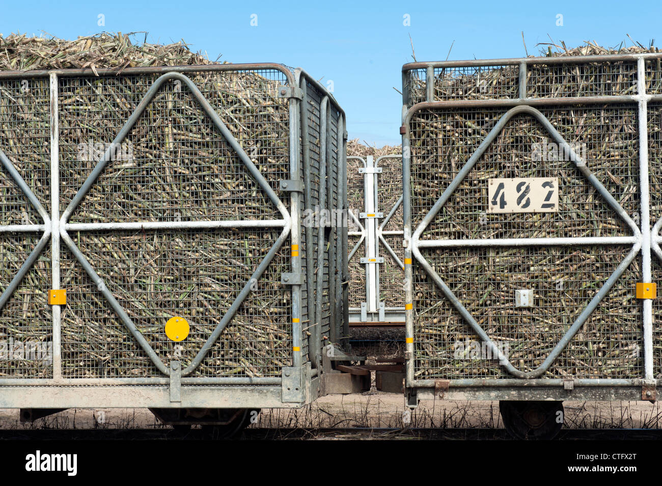 Transport rail bins filled with harvested sugar cane heading to the ...