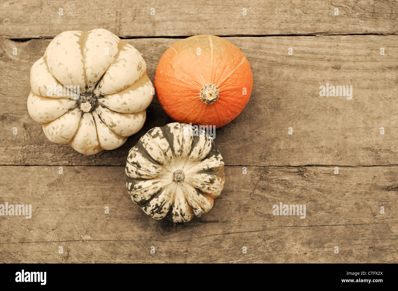 Cucurbita pepo, Squash Stock Photo - Alamy