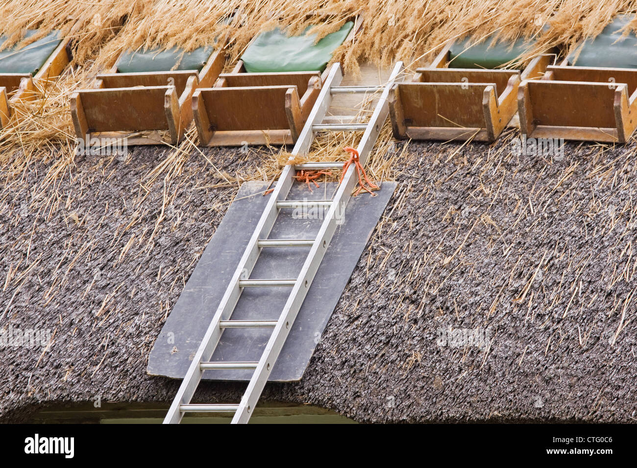 Thatch Thatched Thatching High Resolution Stock Photography and Images ...