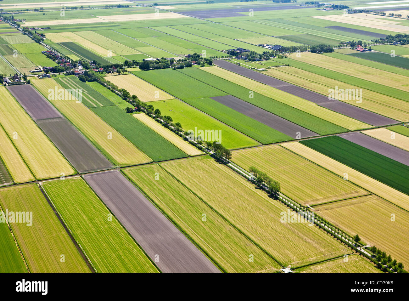 Farm Field Aerial