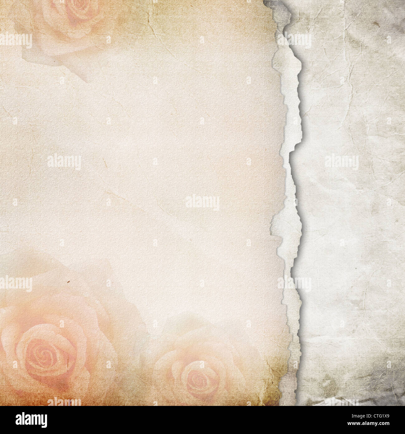 Old Torn Paper Background. Texture with a Roses Stock Photo - Alamy