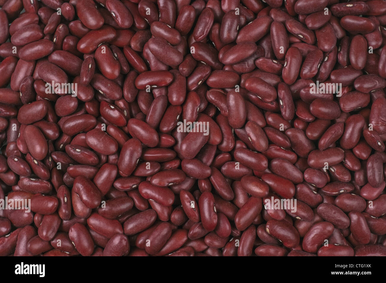 Close up of kidney-beans Stock Photo - Alamy