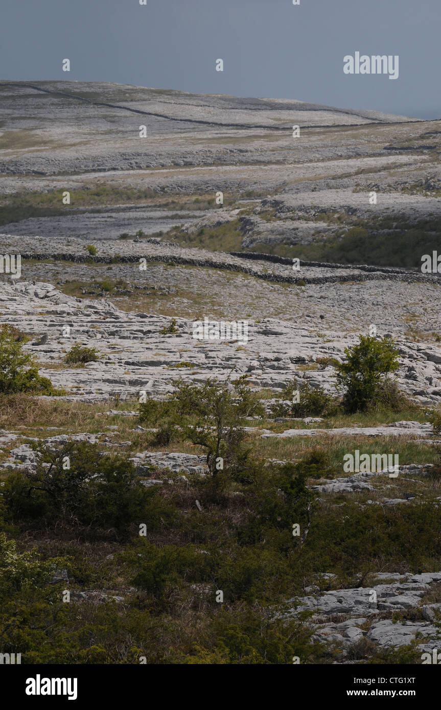 Karst landscape the burren hi-res stock photography and images - Alamy