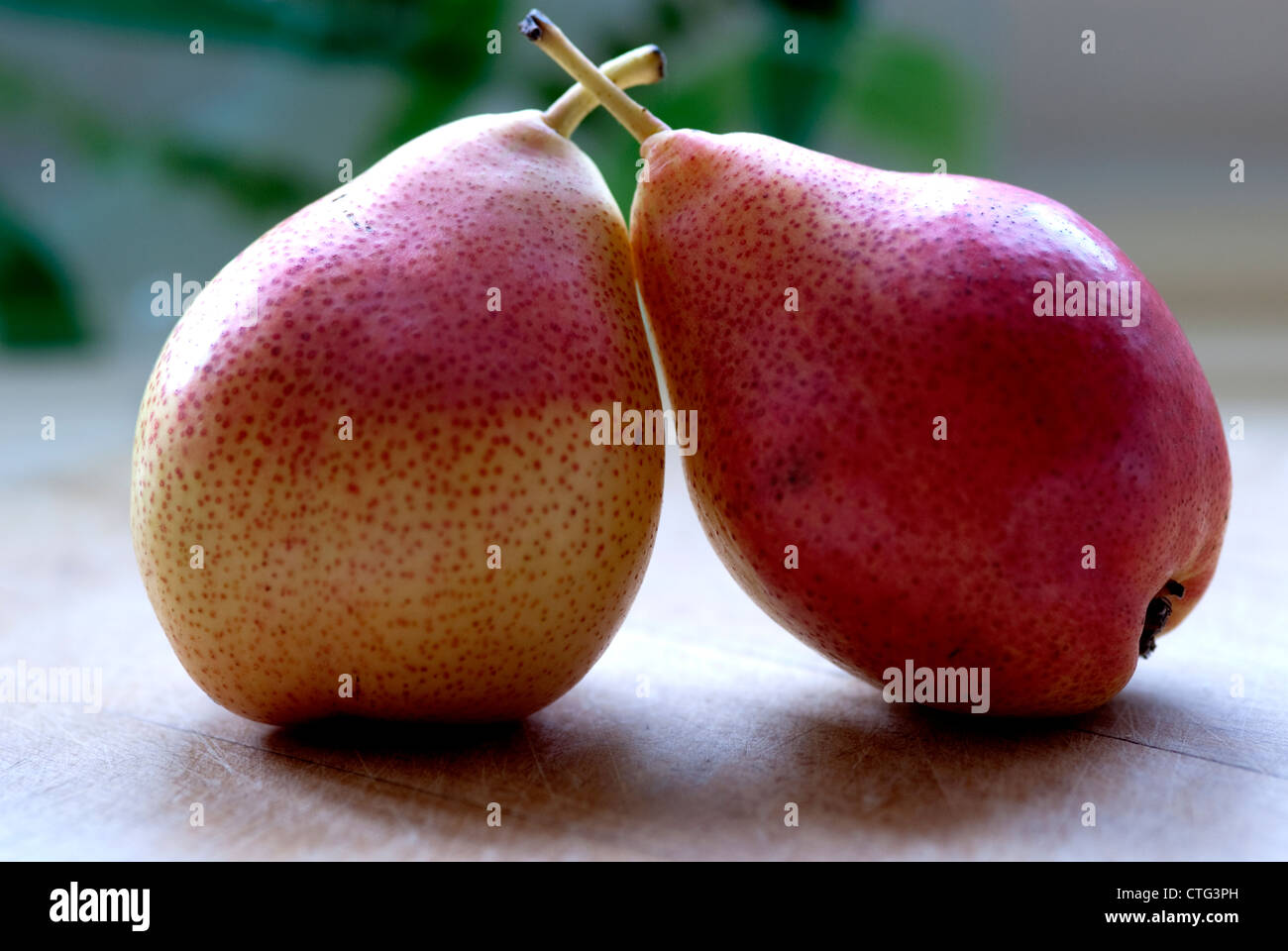 Food forelle pears freckles fruit health healthy hi-res stock ...