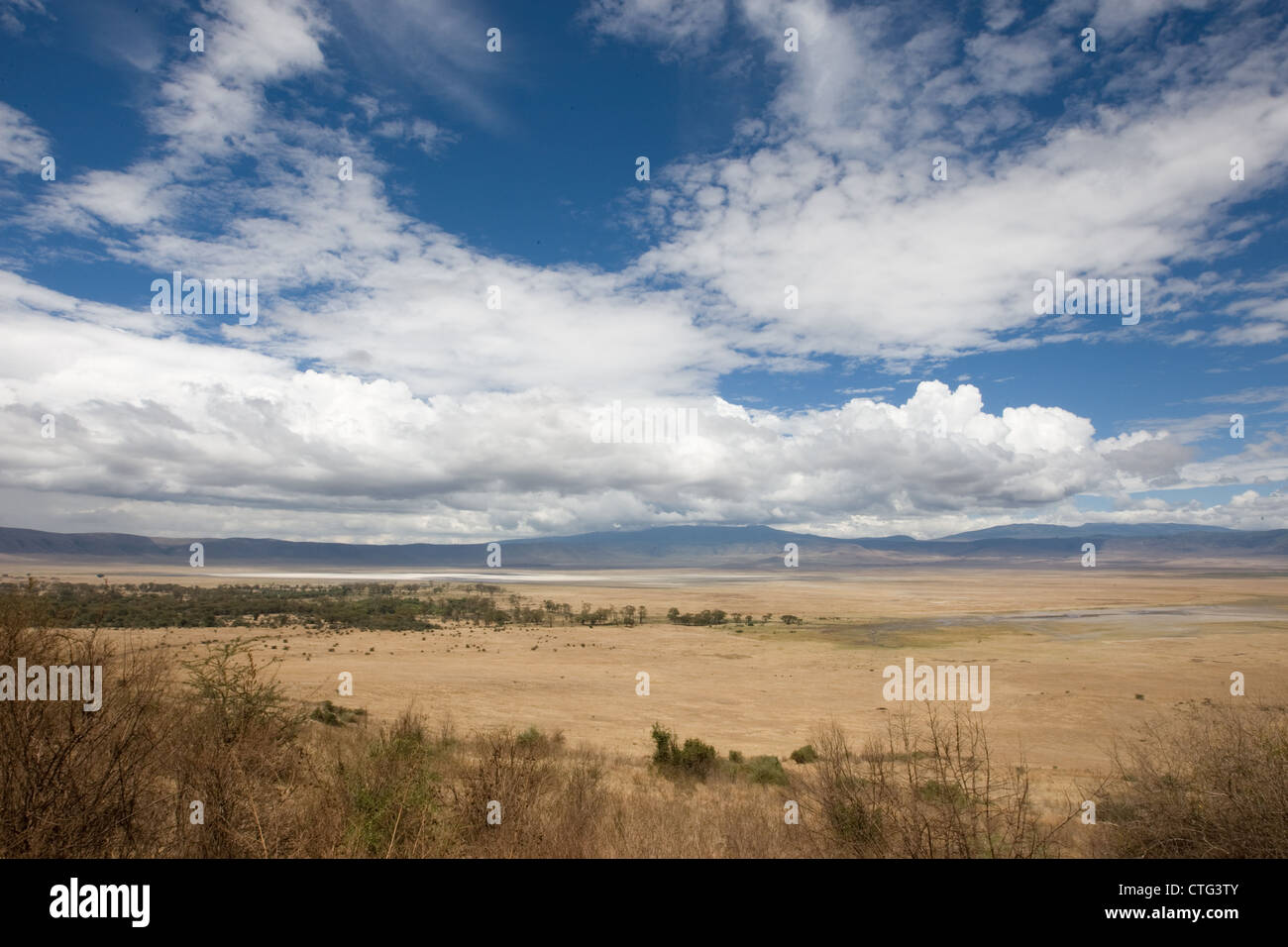 Ngorongoro Crater landscape, Tanzania Stock Photo - Alamy