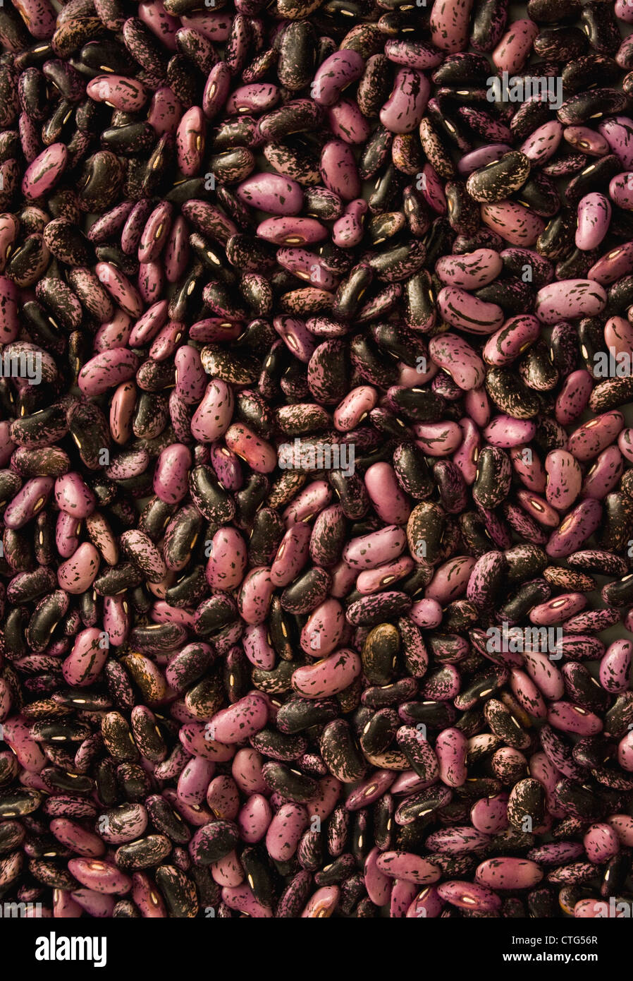 Collecting runner bean hi-res stock photography and images - Alamy