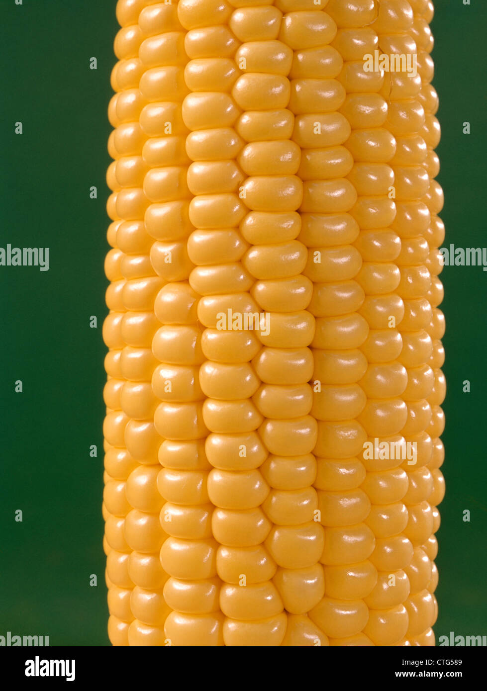 DETAIL OF AN EAR OF YELLOW CORN ON THE COB ON GREEN BACKGROUND Stock ...