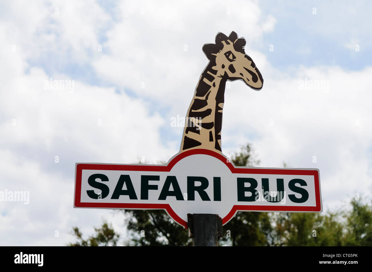 Zoo bus hi-res stock photography and images - Alamy