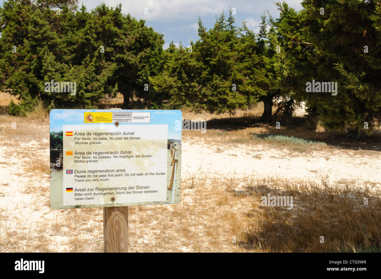 Multilingual sign on a beach asking people not to walk on sand dunes in ...