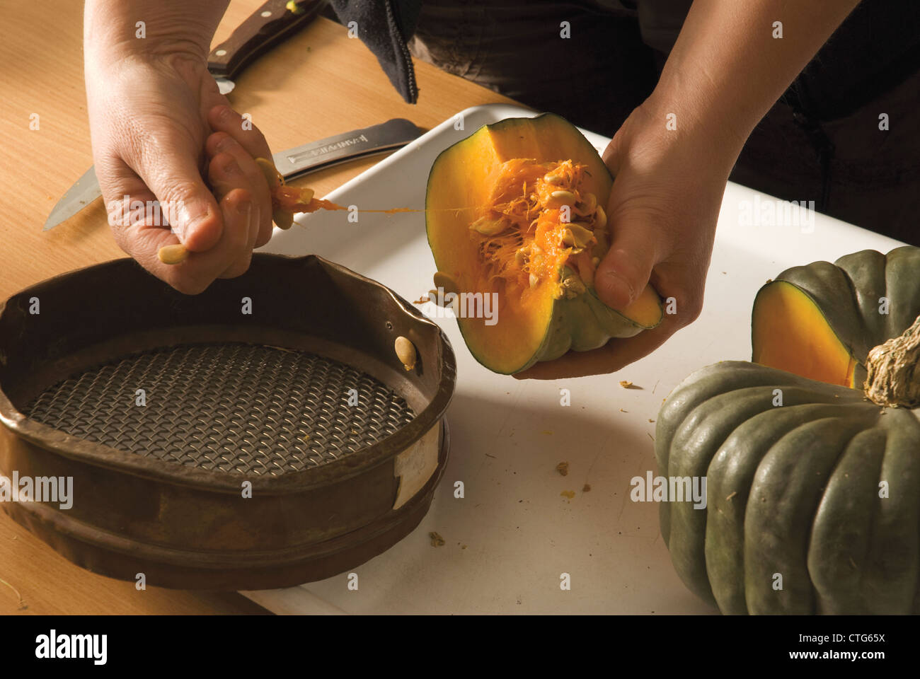 Curcubita maxima 'Queensland blue', Pumpkin Stock Photo - Alamy