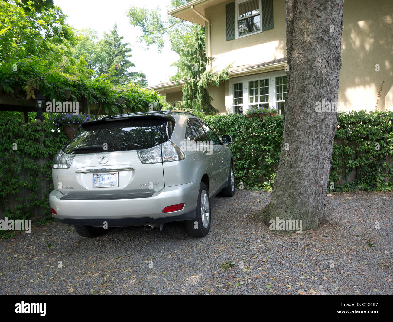 car park next to tree home Stock Photo - Alamy