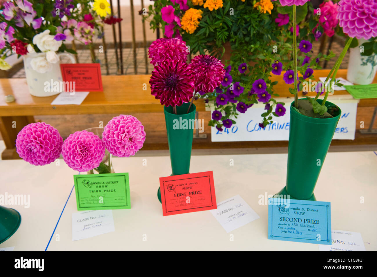 Flower show first prize hi-res stock photography and images - Alamy