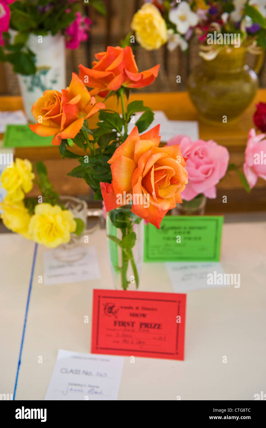 Village flower show rose hi-res stock photography and images - Alamy