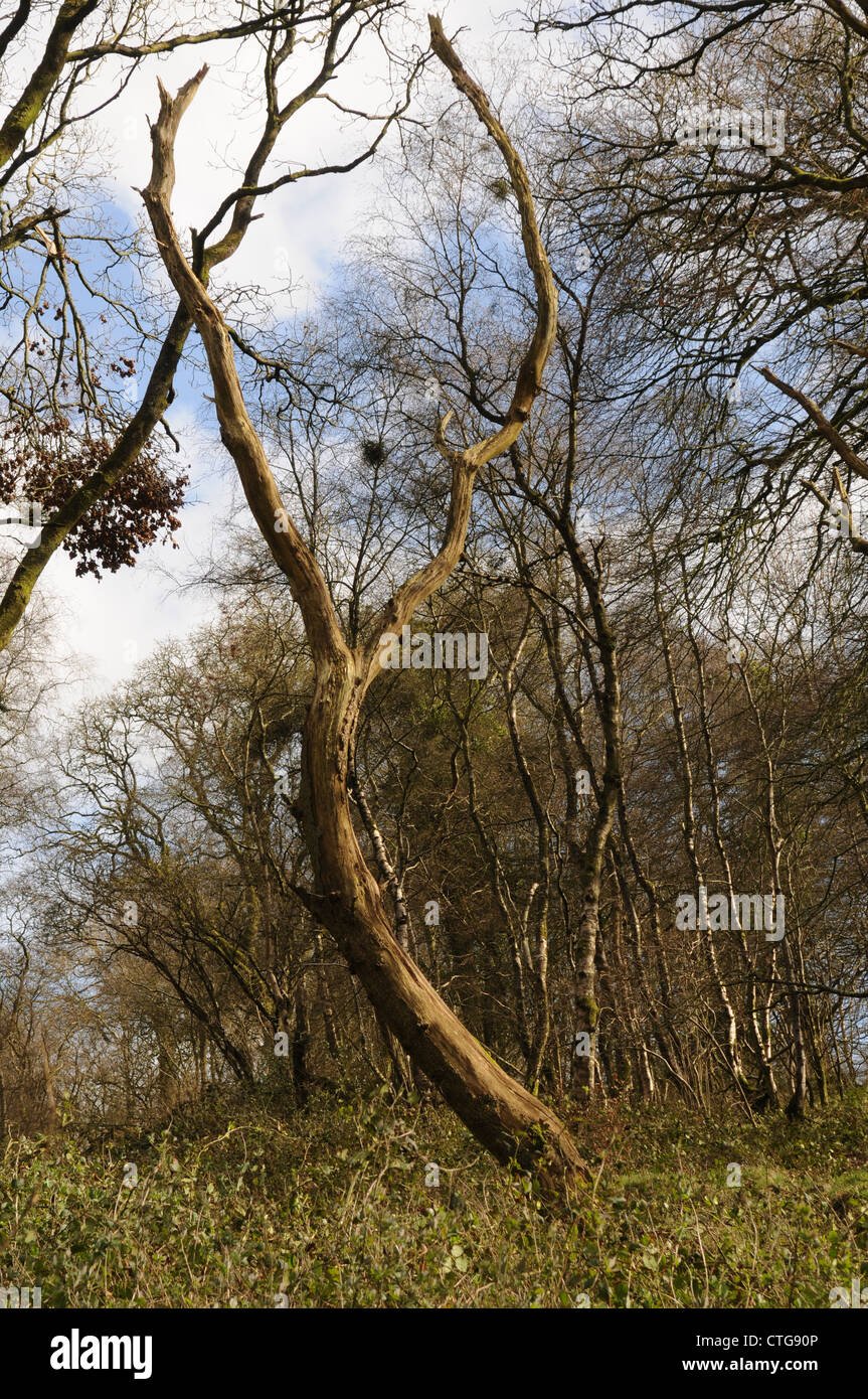 Navan meath hi-res stock photography and images - Alamy