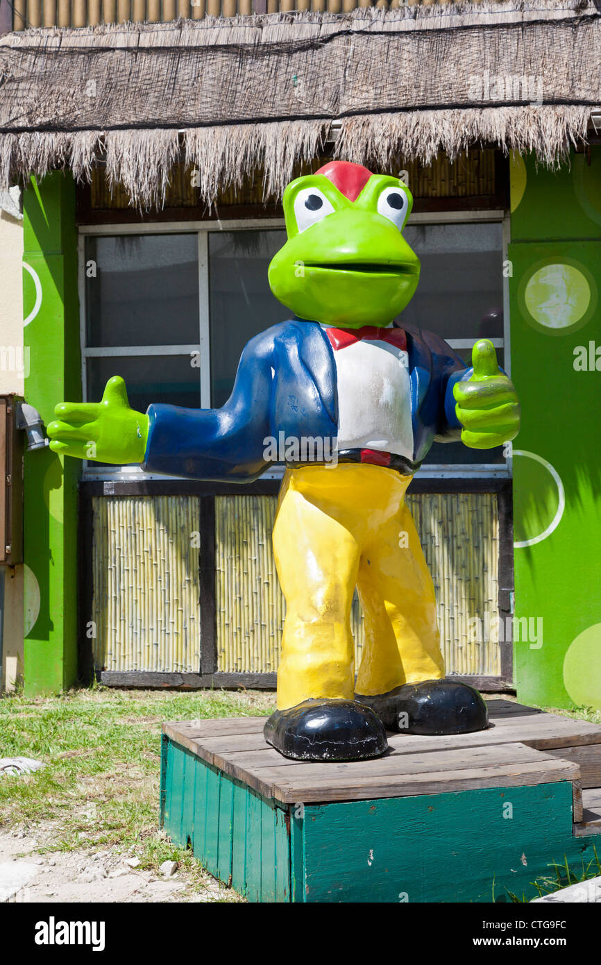 Senor frogs hi-res stock photography and images - Alamy