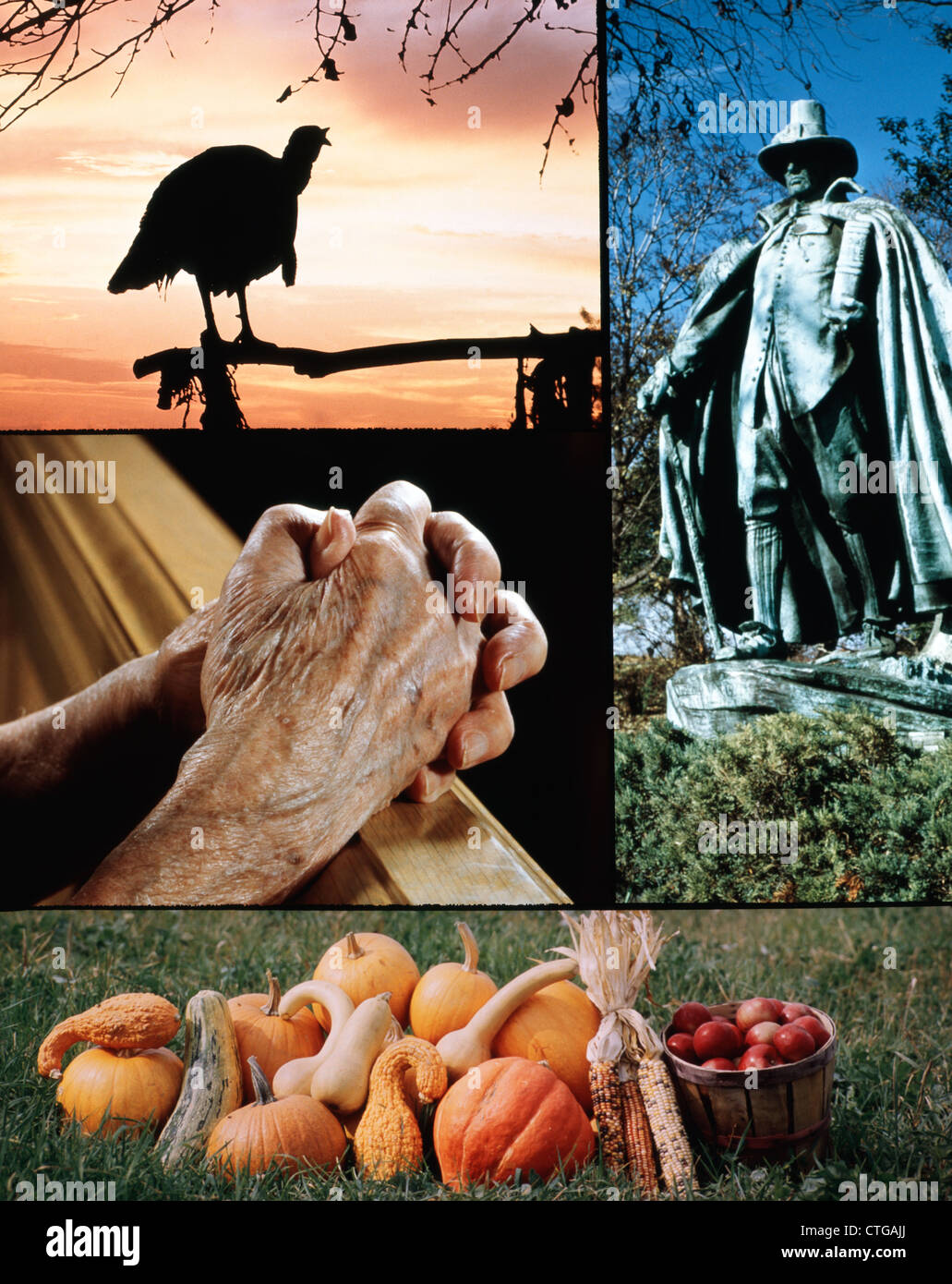 1970s THANKSGIVING MONTAGE TURKEY HANDS PRAYING PILGRIM STATUE HARVEST ...