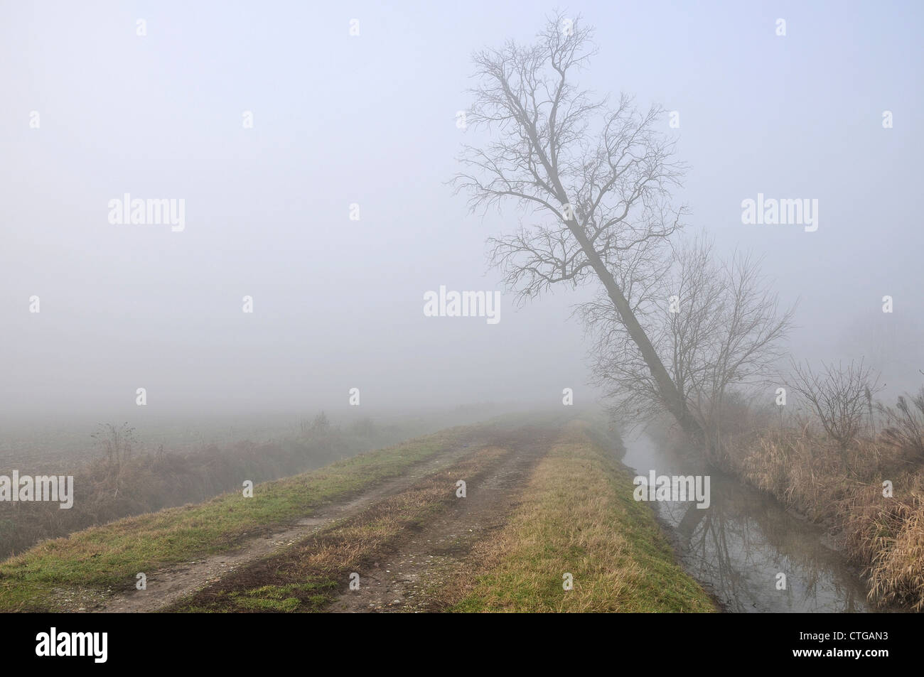 ditch and road in foggy country Stock Photo - Alamy