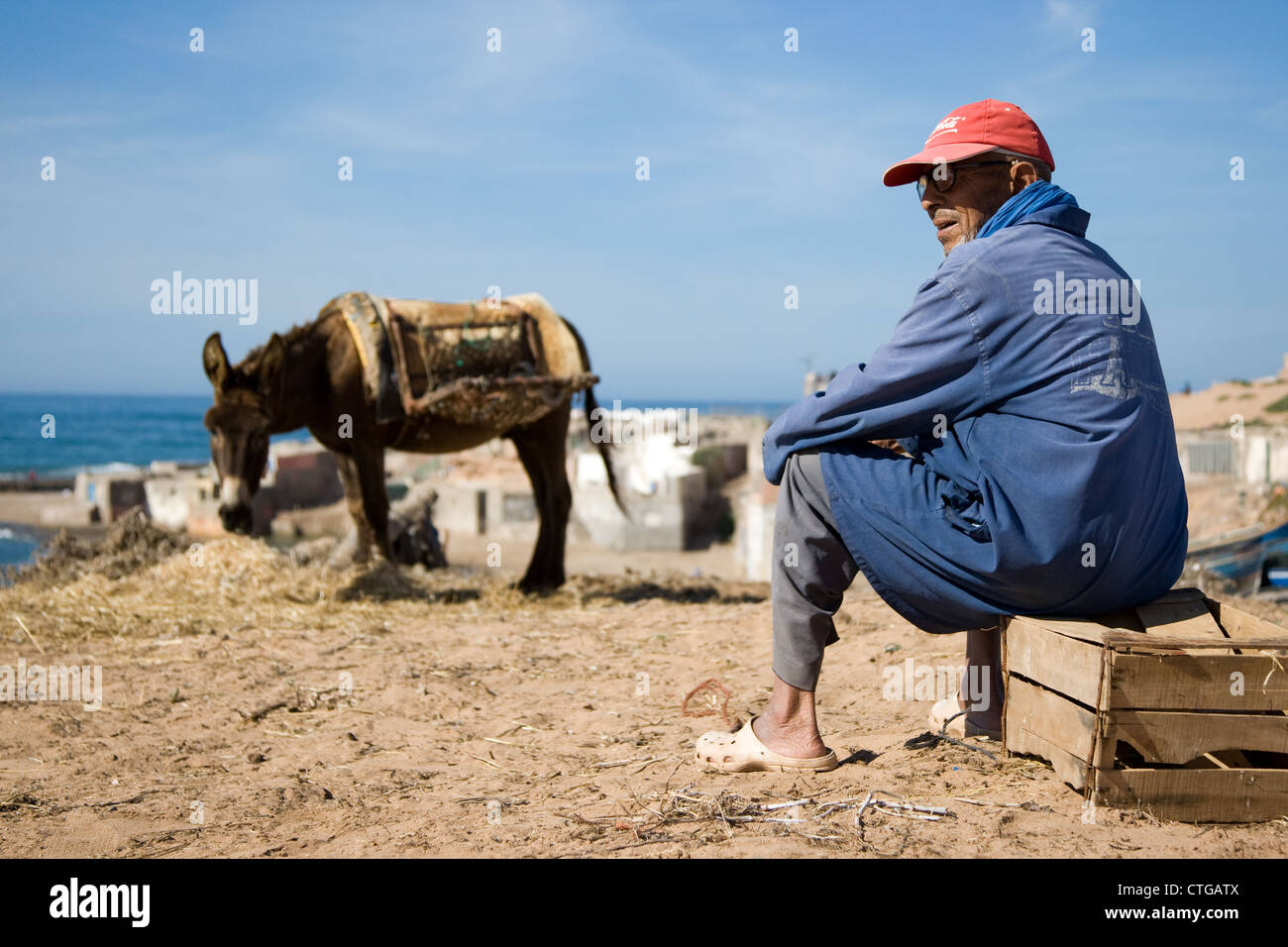 Old man with donkey in Morocco Stock Photo - Alamy