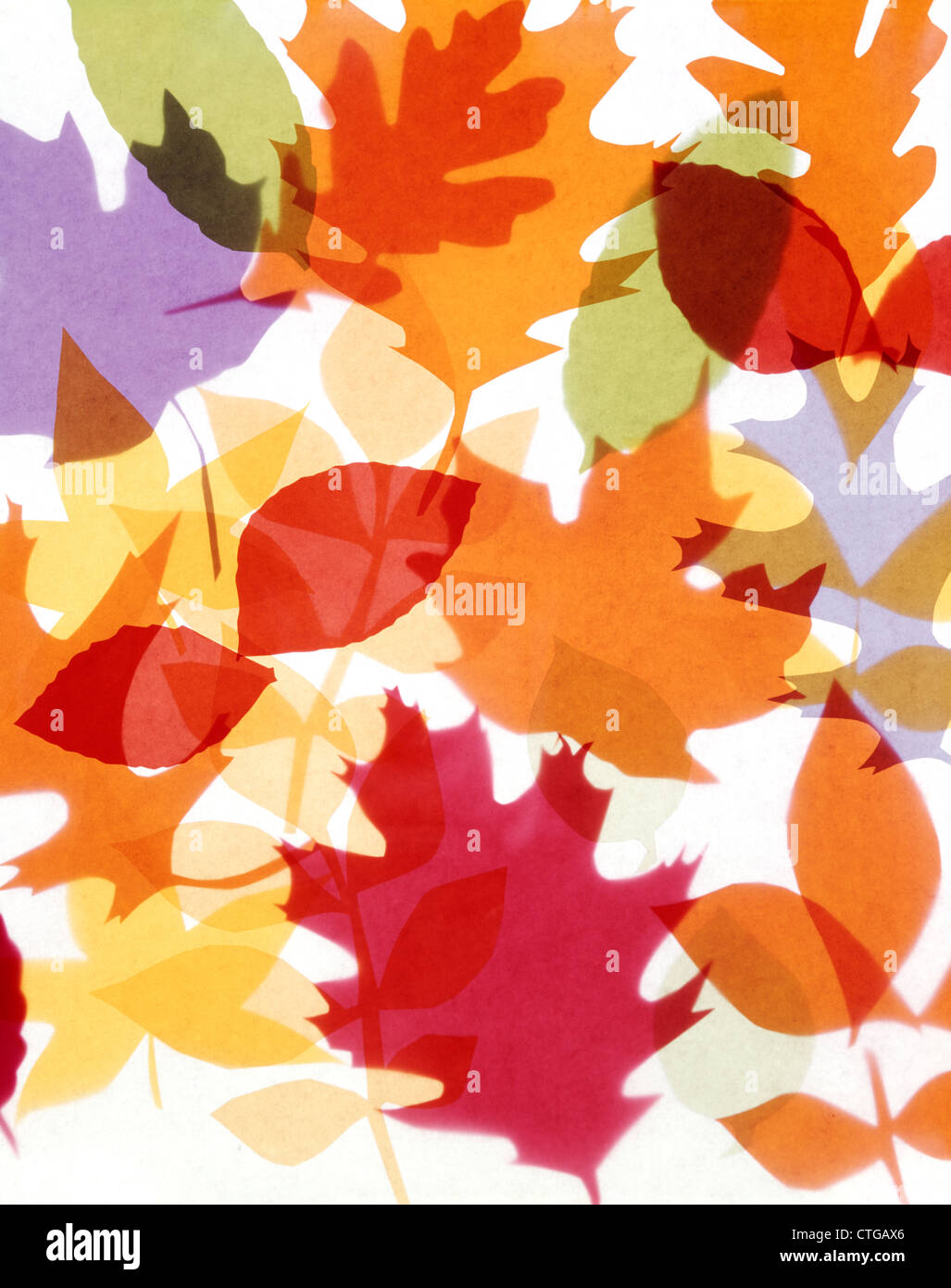 1970s paper plant hi-res stock photography and images - Alamy