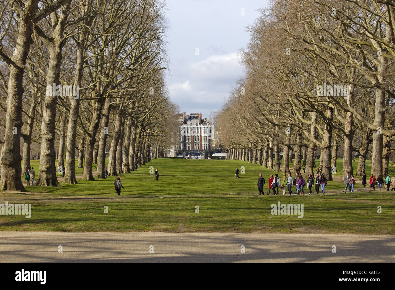 Rows of trees in Green Park in London, England Stock Photo - Alamy