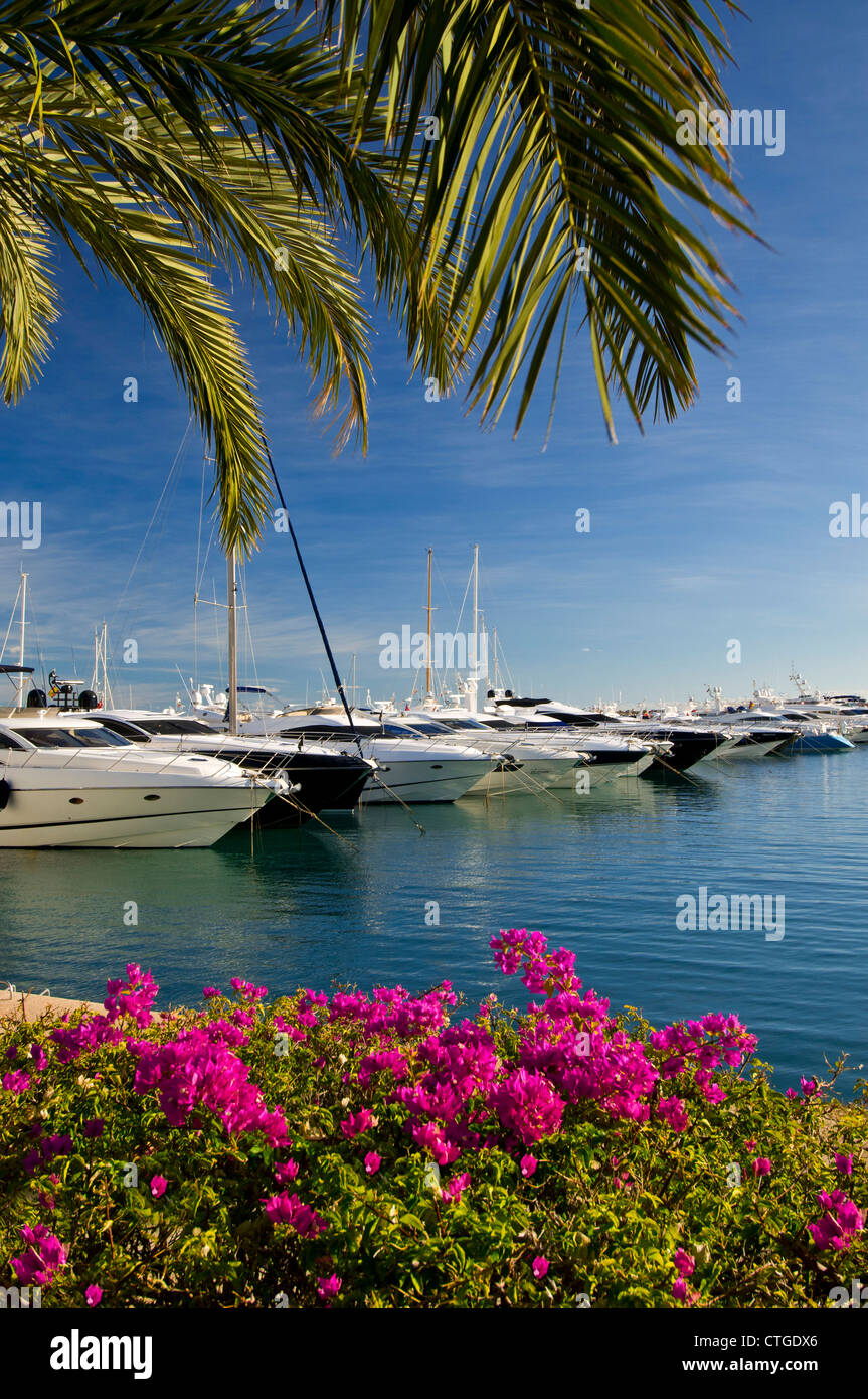 Puerto portals mallorca hi-res stock photography and images - Alamy