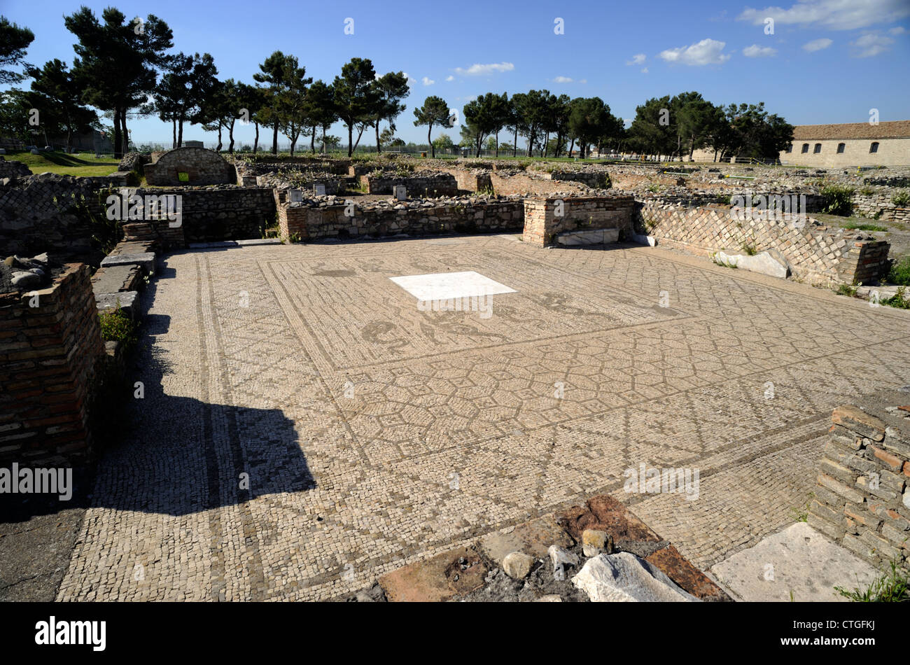 Italy, Basilicata, Venosa, archeological park, roman thermae, mosaic ...