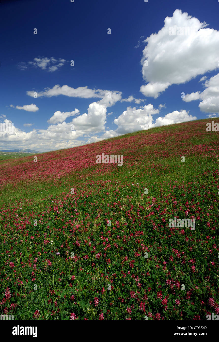 Spring italy hi-res stock photography and images - Alamy