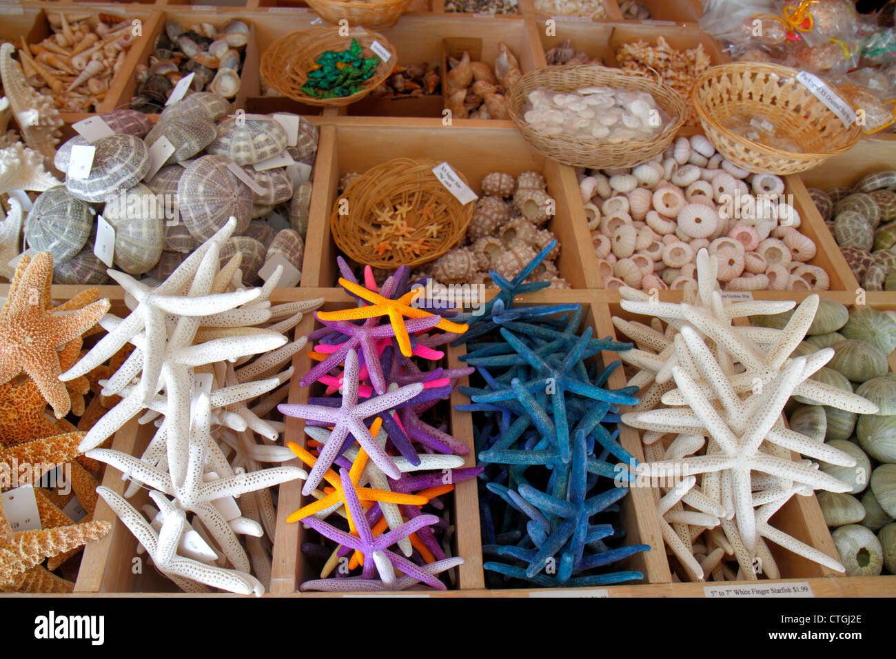 Port St.Saint Lucie Florida,U.S. 1 One,South Federal Highway,Shell ...