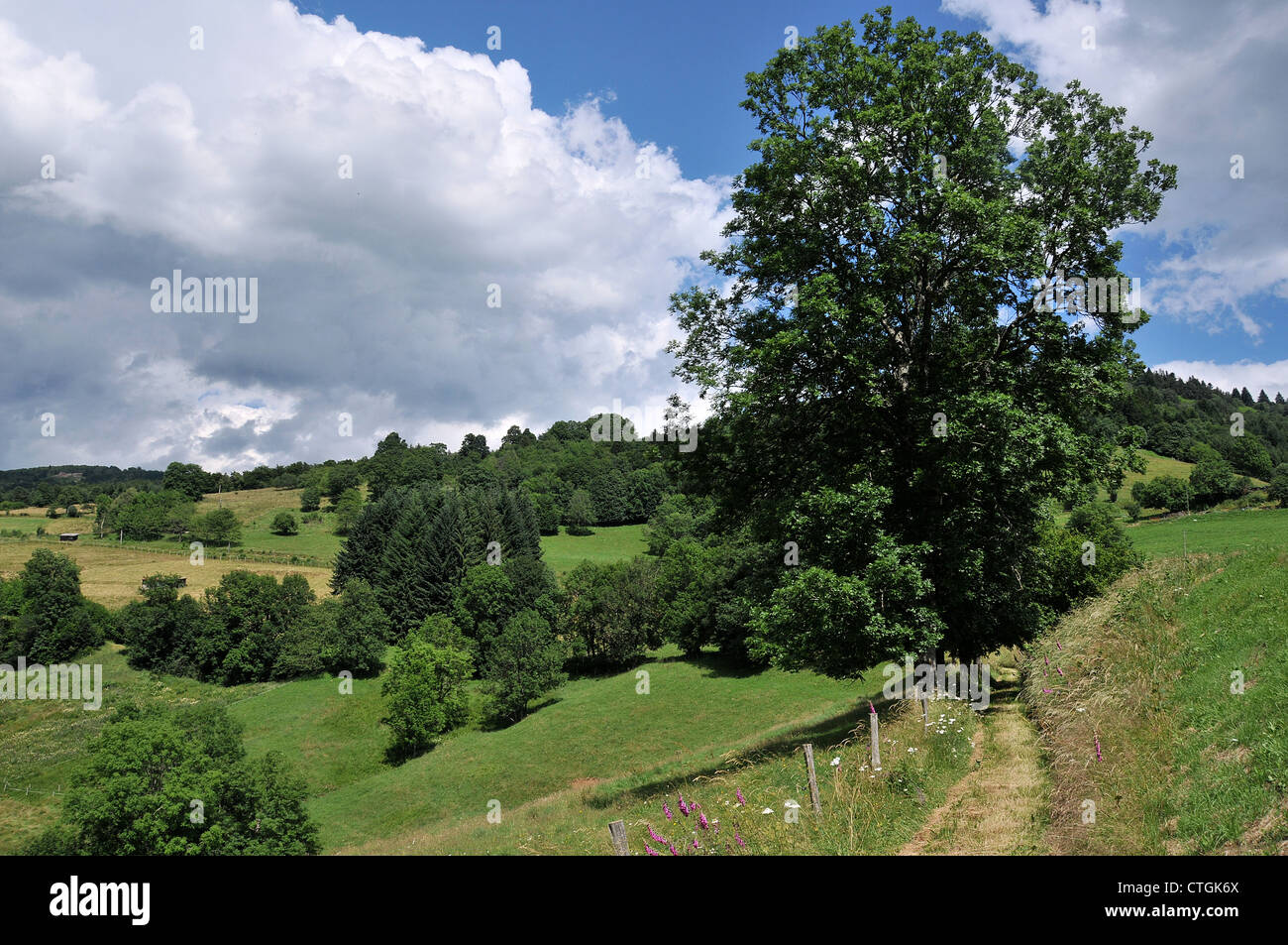 path in countryside Forez Auvergne France Stock Photo - Alamy