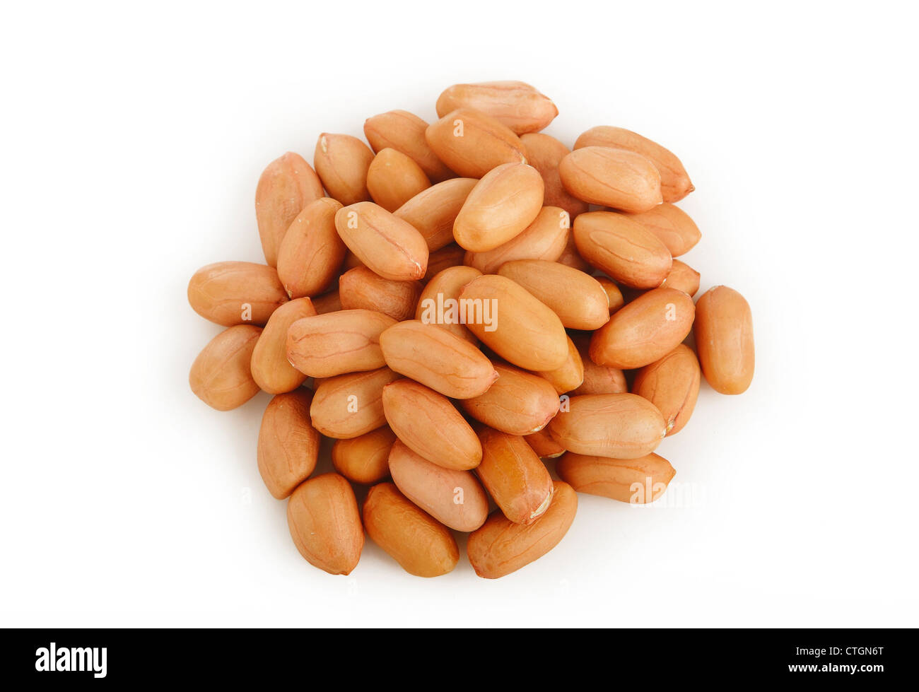 Peanut isolated on white background Stock Photo - Alamy