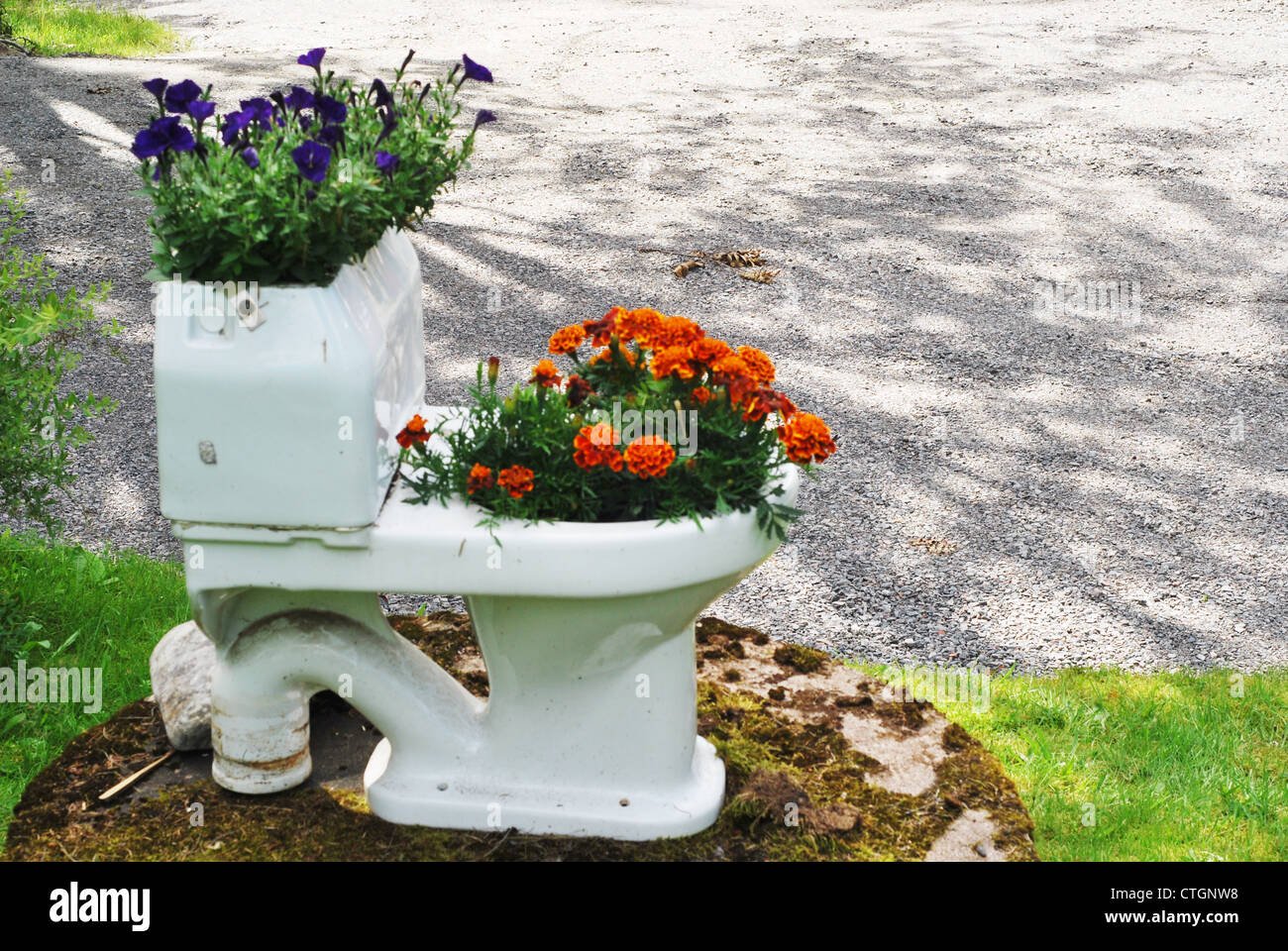 flowerpot bowl of flowers in the garden Stock Photo - Alamy